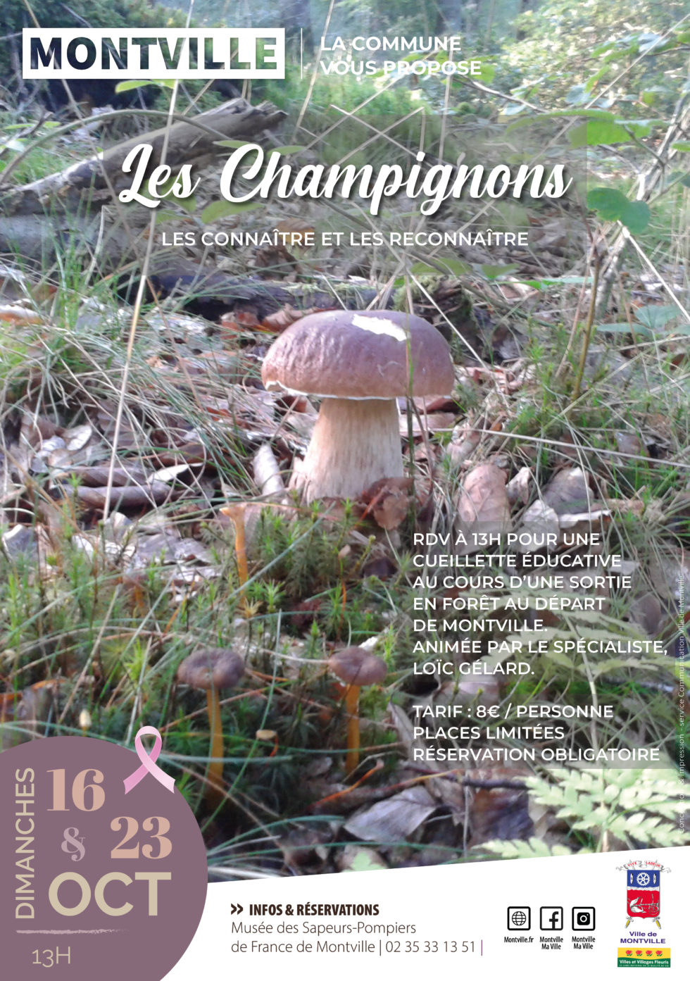 Sorties « champignons » les 16 et 23 octobre | Ville de Montville